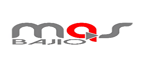 Trayectoria | MQS GROUP