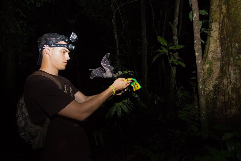 Dylan Gomes | Ecology Research | Open Science