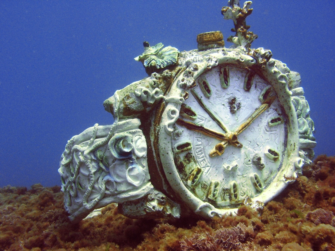 Submerged Art | bongard