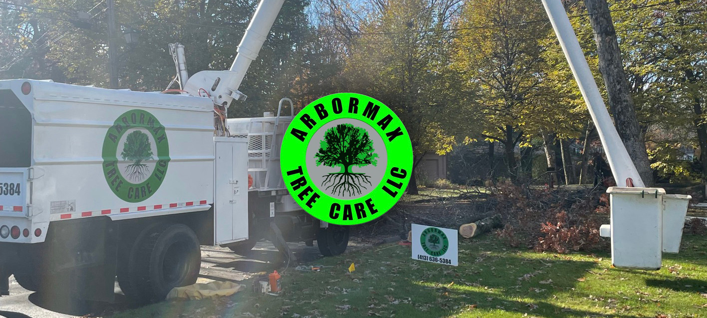 Tree Care | Arbormax Tree Care Llc. | Massachusetts