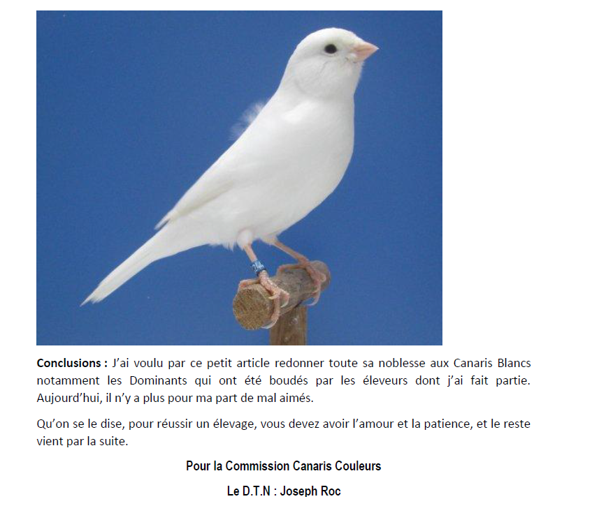 L'ELEVAGE DES CANARIS BLANCS