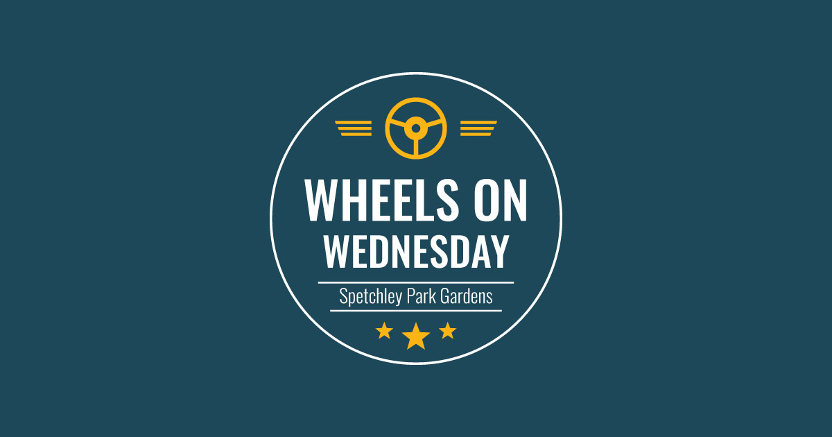 Wheels on Wednesday | Gallery