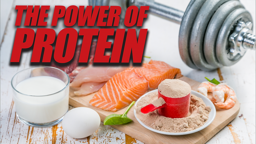 The Power of Protein: Unlocking Muscle Growth and Cellular Repair