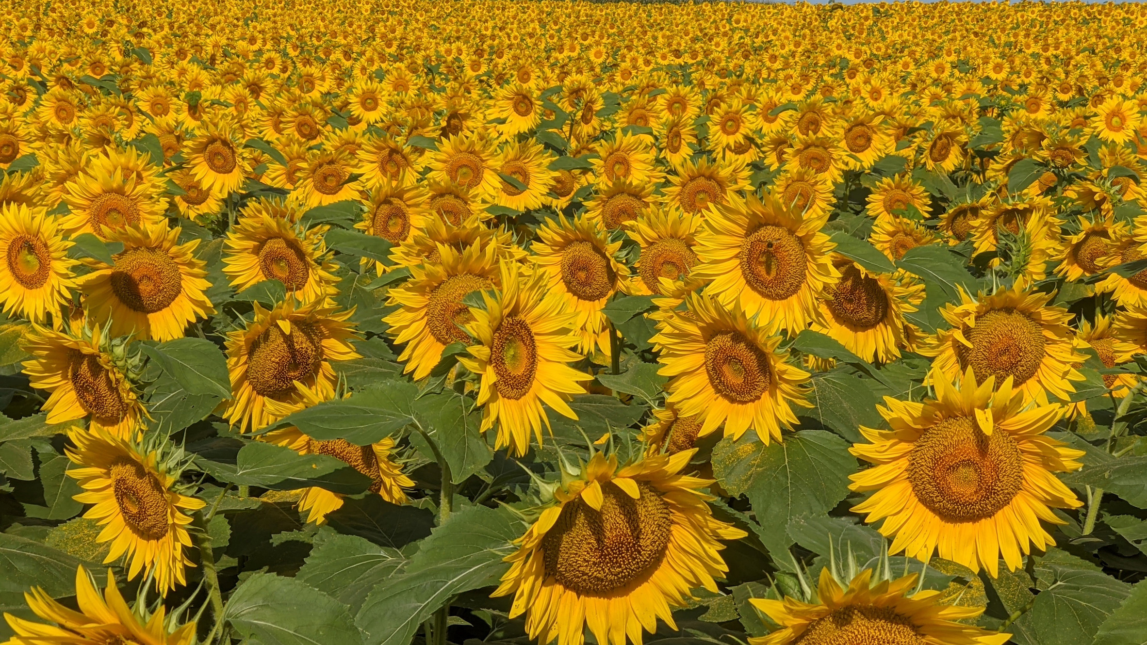 Genealogy | Is This A Good Time?