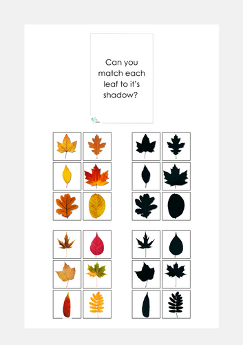 Leaf Shadow Matching | The Reggio Resource