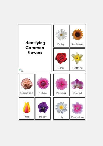 Identifying Common Flowers Cards | The Reggio Resource