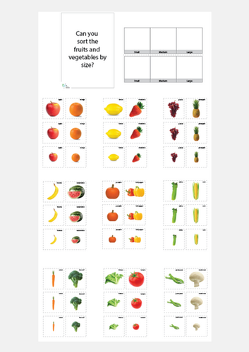 Sorting Fruit and Vegetables by Size | The Reggio Resource