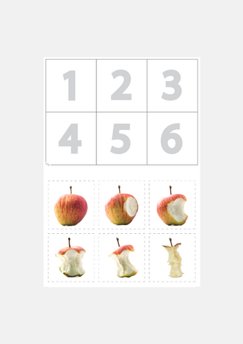 Apple Sequencing | The Reggio Resource
