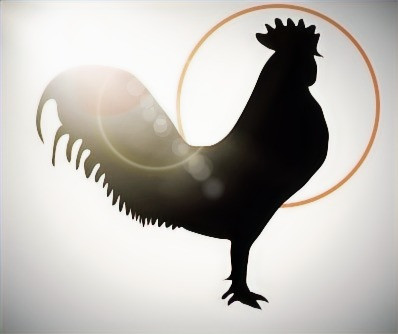 Rooster Aerospace | Space Innovation Solutions