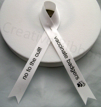 Personalised Charity Ribbon Pins - Pack of 200 | CreativeRibbon&Bows