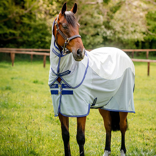 Amigo Airflow | Blue | Sweden Horse Rugs