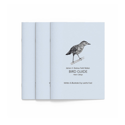 Bird Guide | Loretta Ford