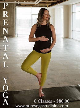 Pure Yoga Studio
