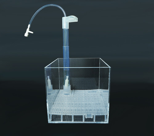 Under Gravel Filter Box (UGF) for Shrimp Aquarium - Tall Version ...