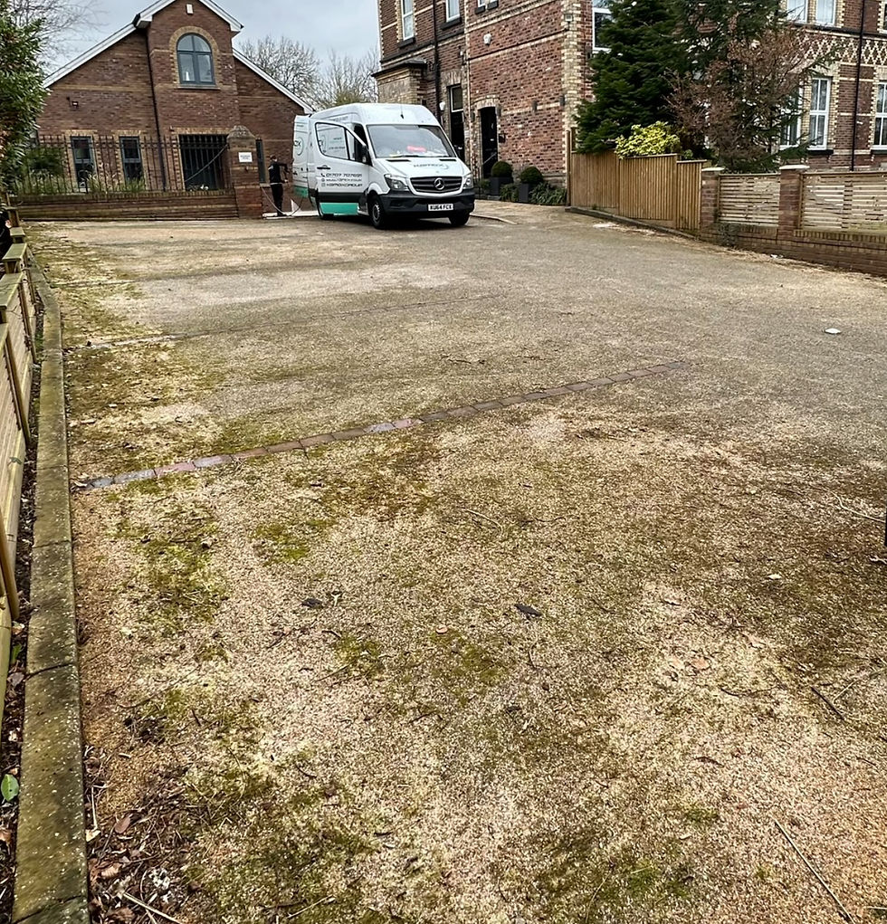 Cleaning & Maintaining Moss, Weeds & Algae On Your Resin Bound Driveway