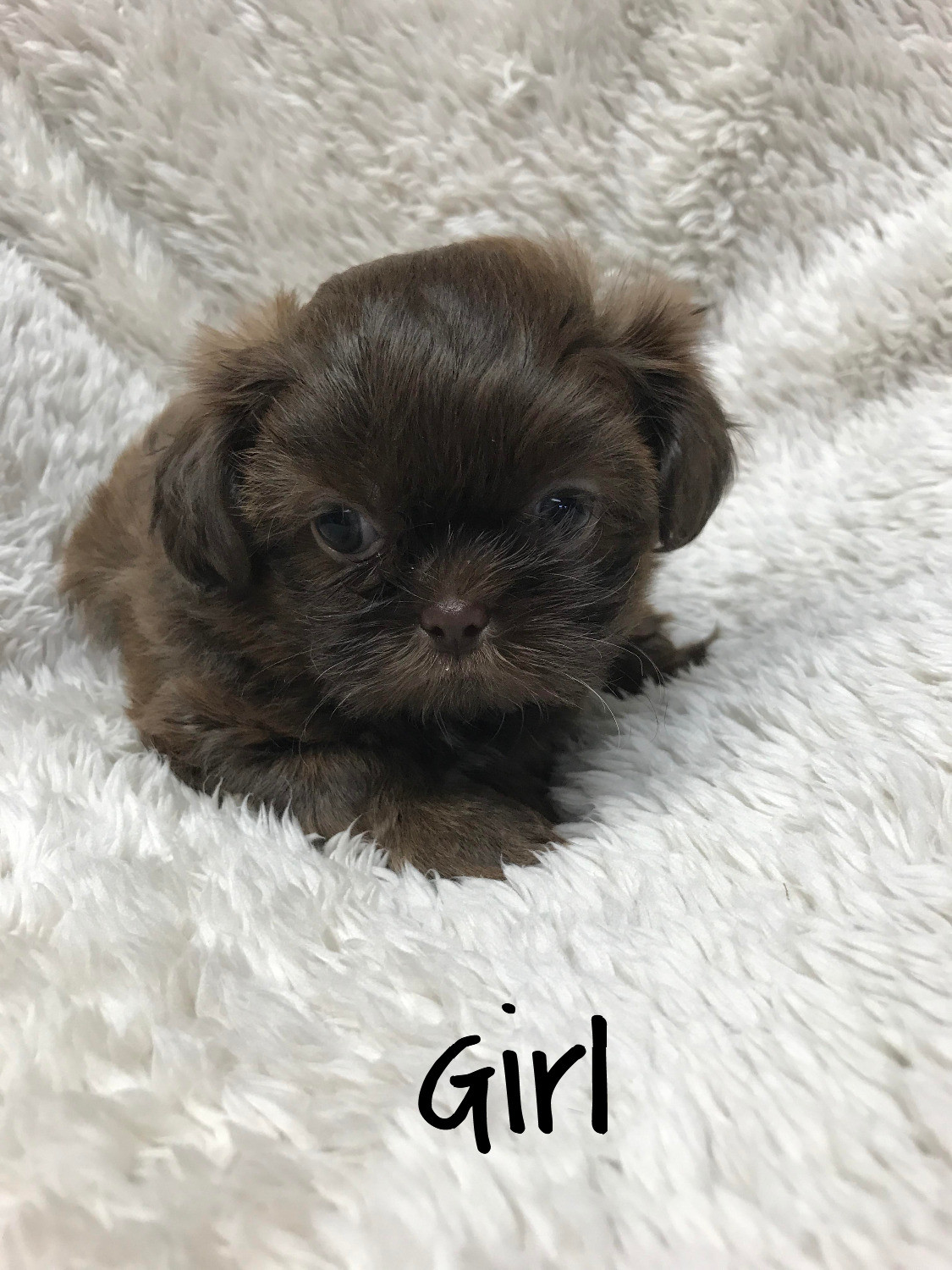 Fullscreen Page | mysite