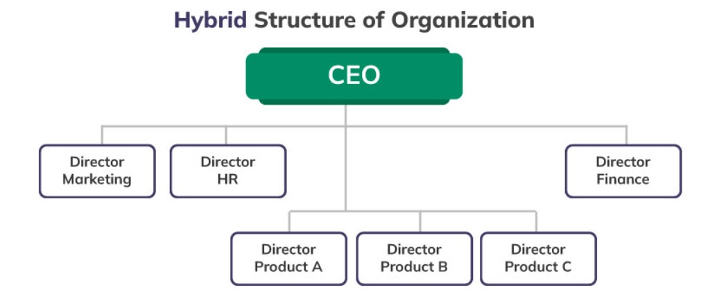 Corporate Structures: Definition, Types, Importance