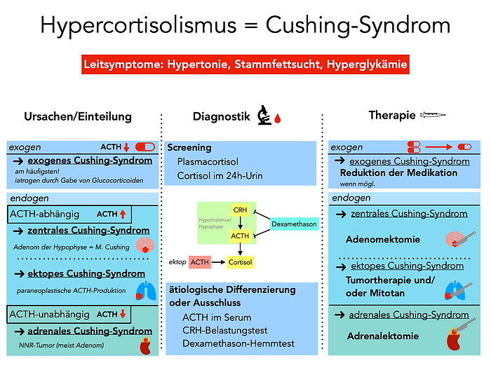 Cushing-Syndrom - Endokrinologie