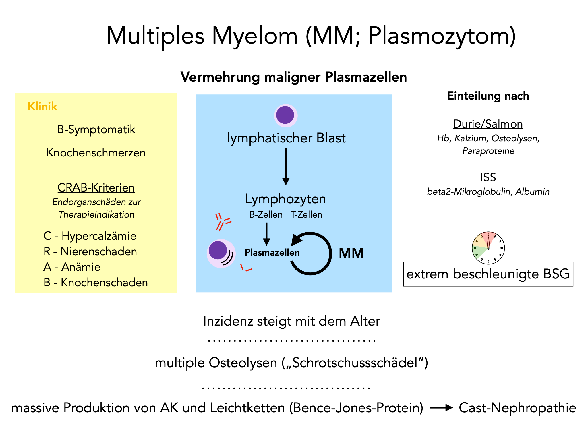 Multiples Myelom - Hämatologie