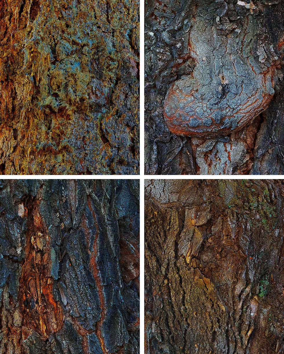 New Images from Alberta