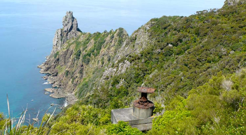 BREAM HEAD RESERVE | Urquharts Bay
