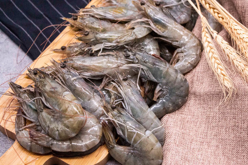 Premium Red Sea Prawn - Frozen | Food Explorer