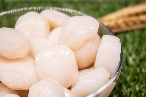 Japanese Scallop - Frozen | Food Explorer