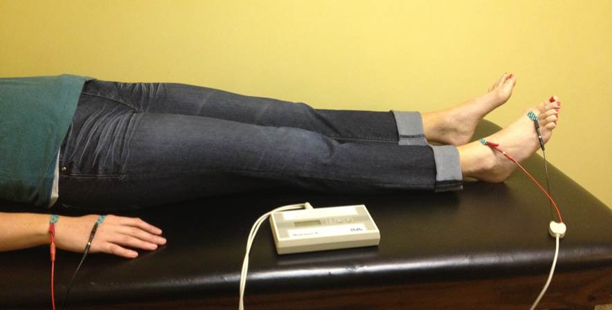 Nutrition Service | UNYED