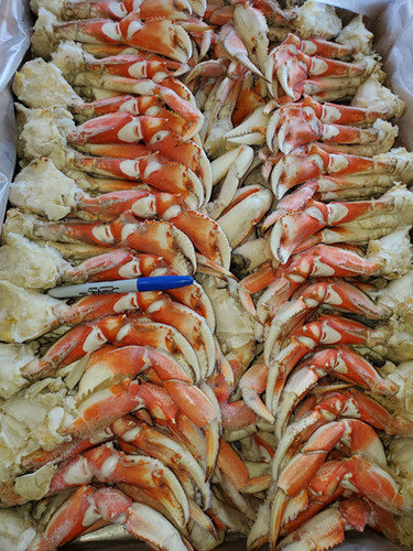 Wild Dungeness Crab Clusters per LB CLEANED & WILD | RocktheBoatSeafood