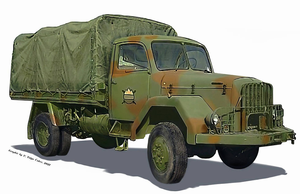 TAM 5000 DV (1/48) | HOME