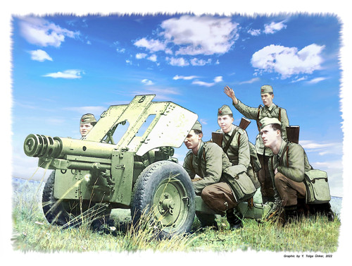 Mountain Gun 76 mm M48 B1 (1/24) | HOME