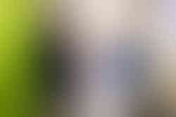 Reactable | Creative Machines