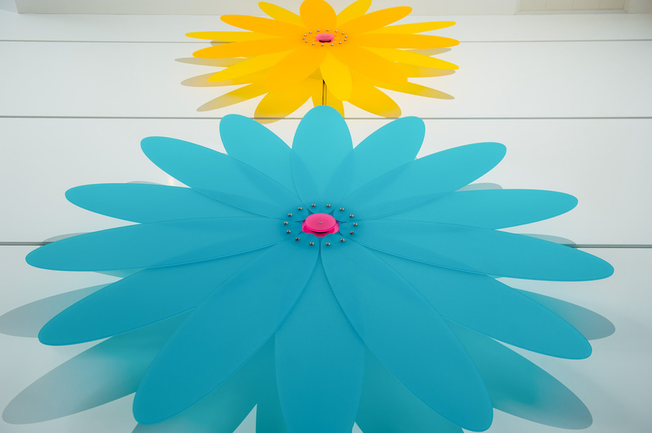 Bloom | Creative Machines