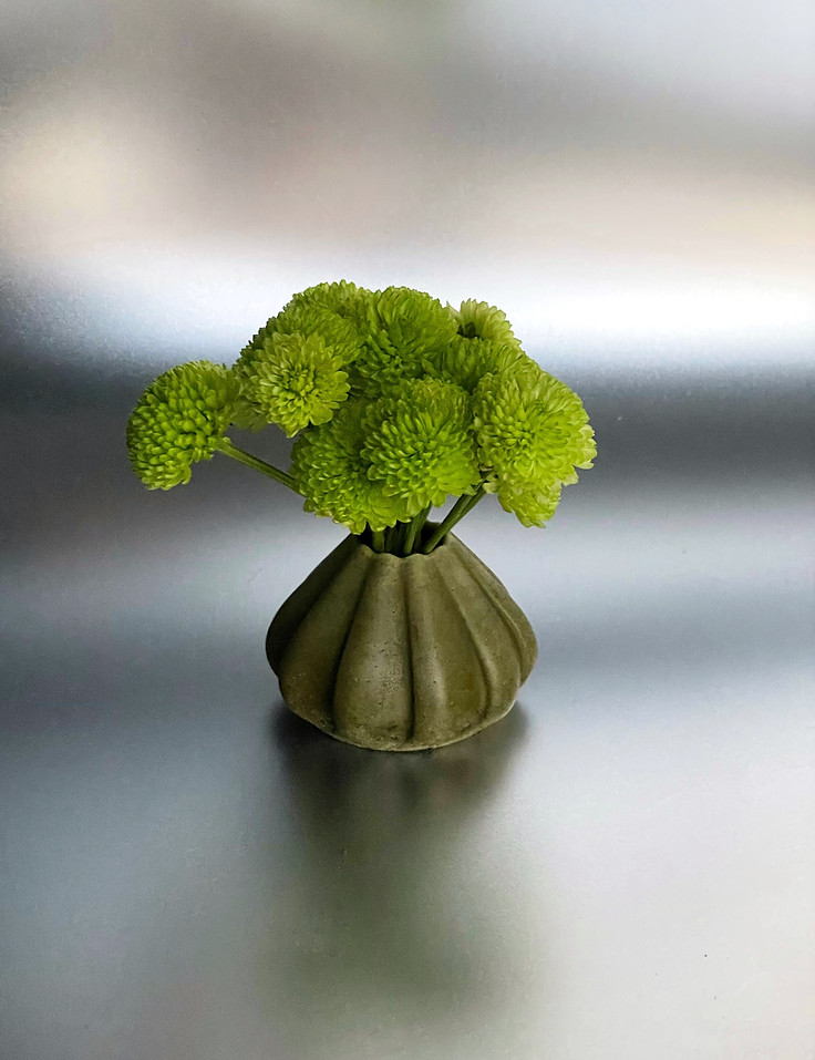 Bio Design Studio | Atelier Barb