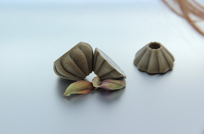 Bio Design Studio | Atelier Barb