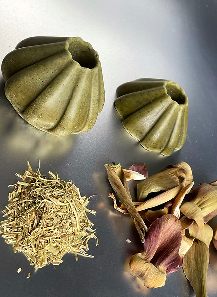 Bio Design Studio | Atelier Barb