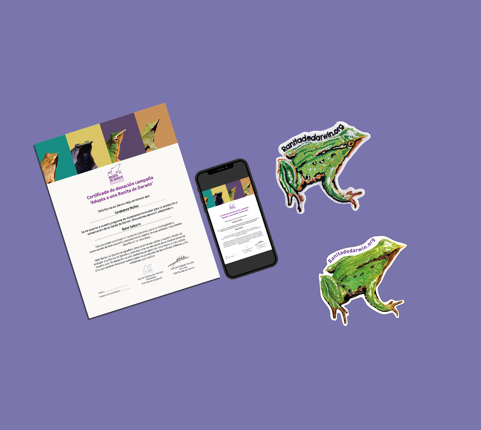 Adopta a una Ranita de Darwin | ONG Ranita de Darwin