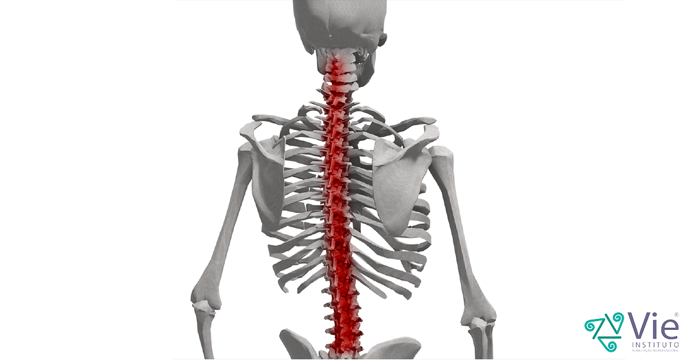 LESÃO MEDULAR E SUAS CLASSIFICAÇÕES