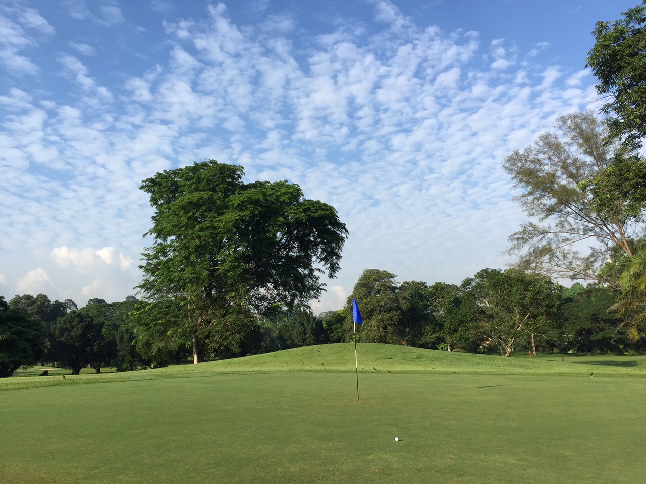 mandai executive golf course