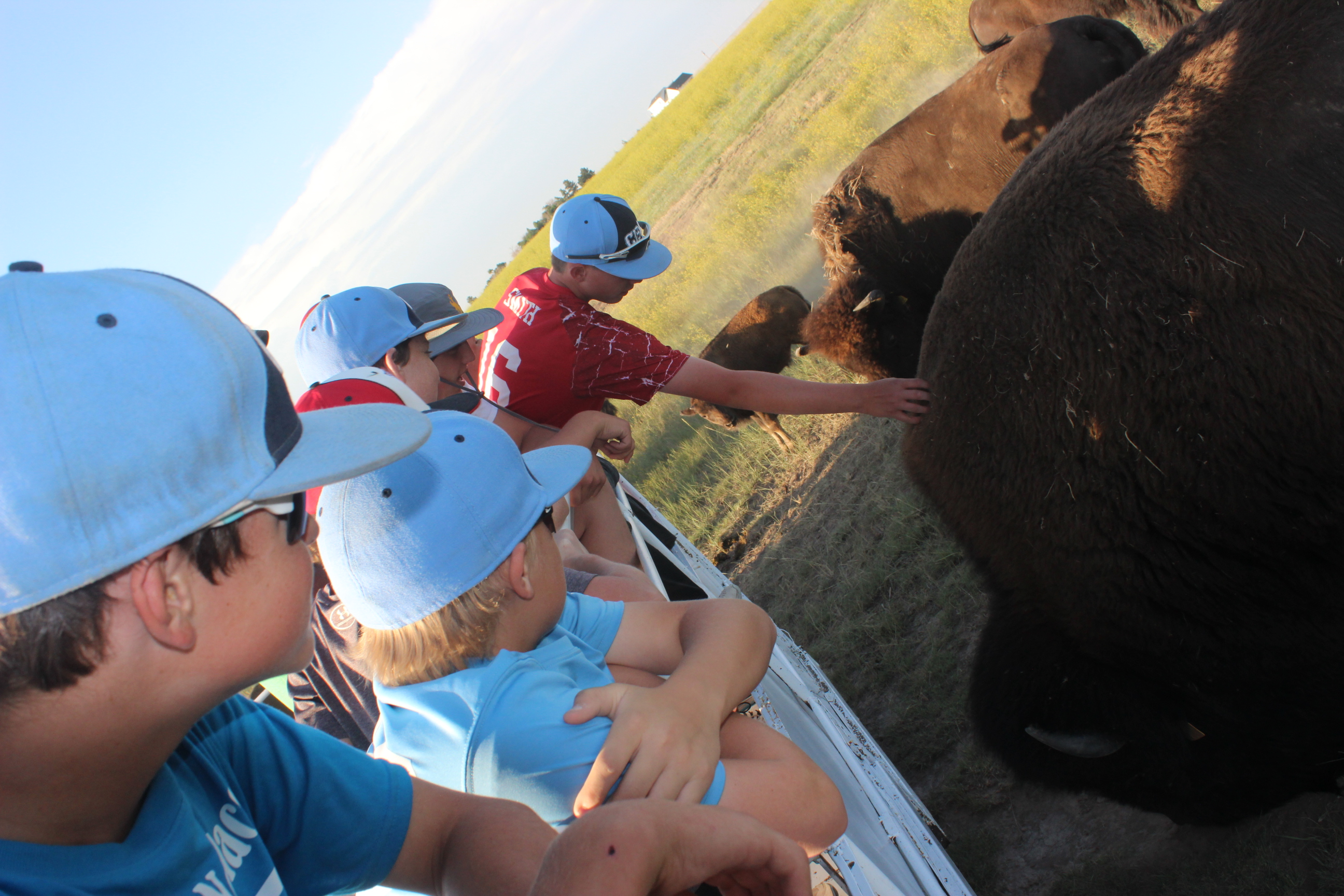 ACTIVITIES | Buffaloridgefarm