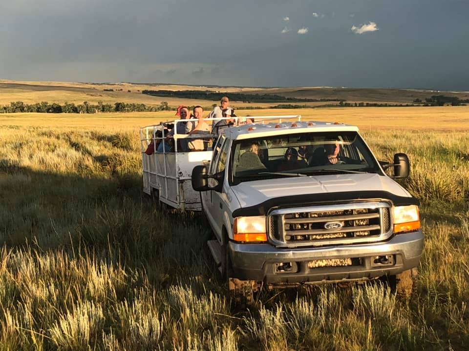 ACTIVITIES | Buffaloridgefarm