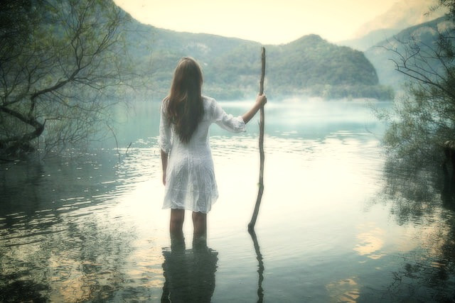 Home | stephaniemodavis