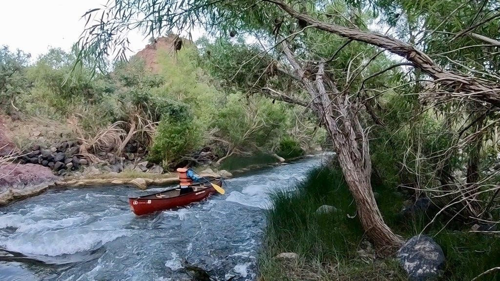 Habitat Suitability Criteria for Native Fishes in Intermediate-Sized ...