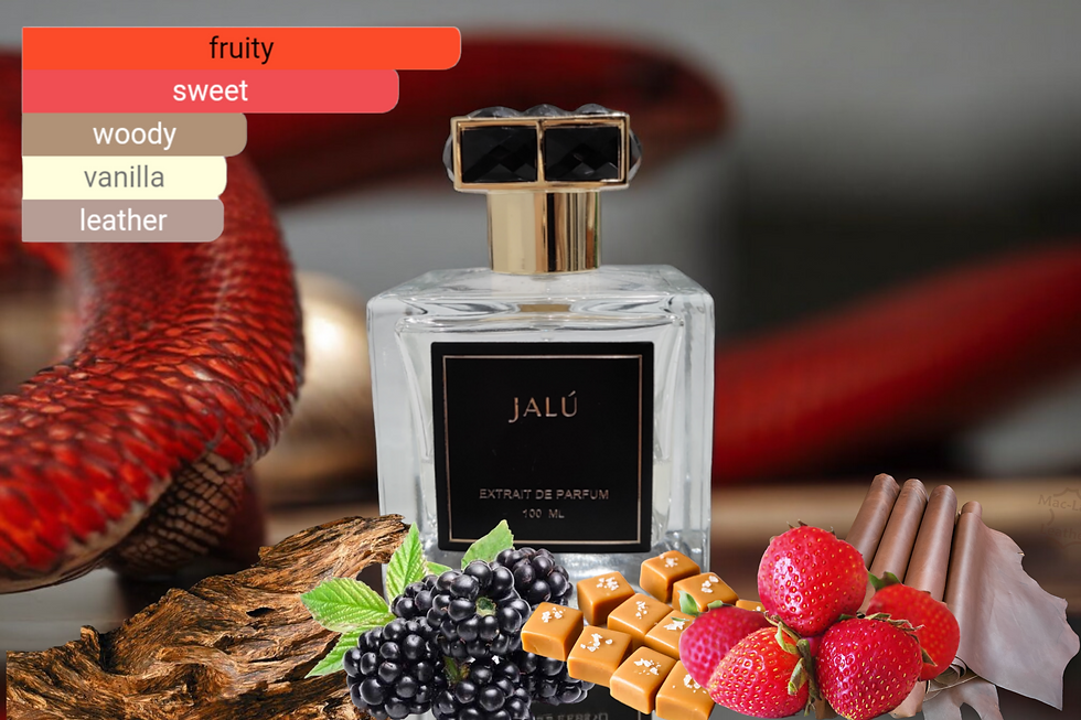 Home | Scent Sample Studio