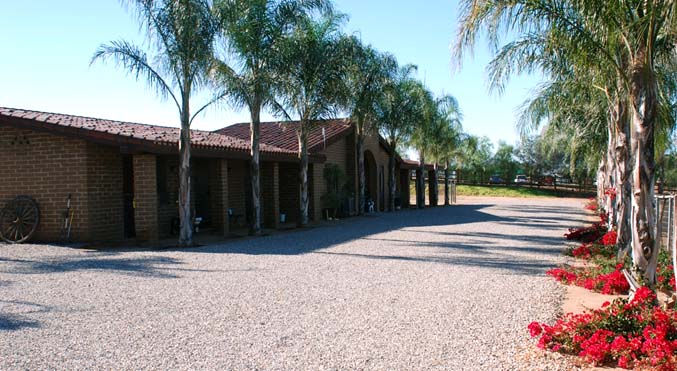 Highlights from the Steve Reeves Fitness and Film Festival