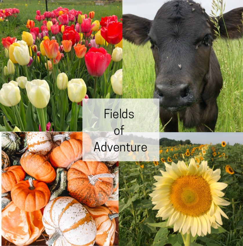 Farm.Food.Fun.| Fields of Adventure