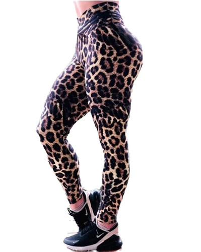 Cheetah Max | Allure Envy