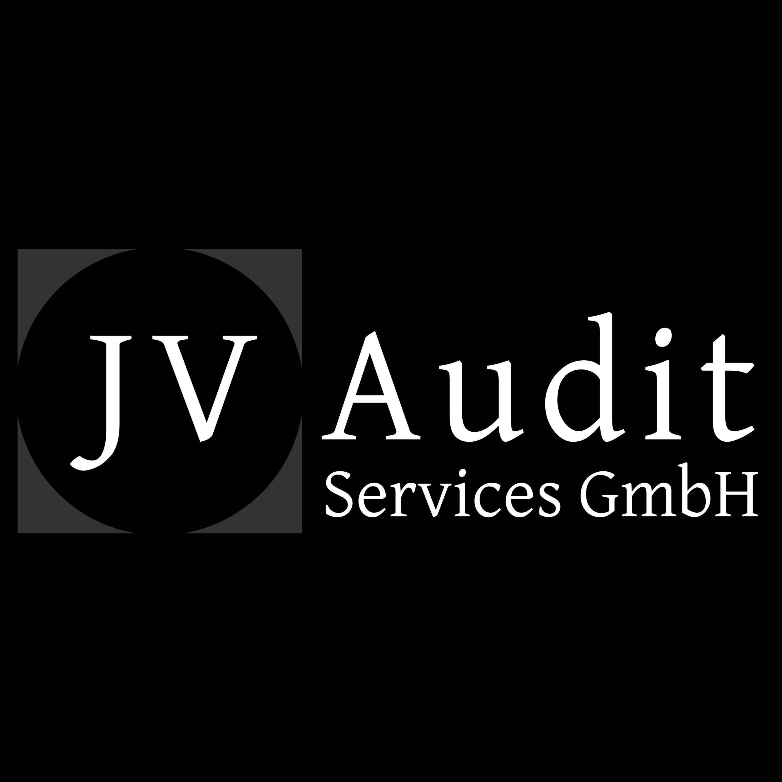JV Audit Services