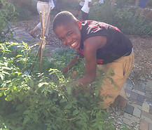 Rise Up! Eat Well! | Food Strong