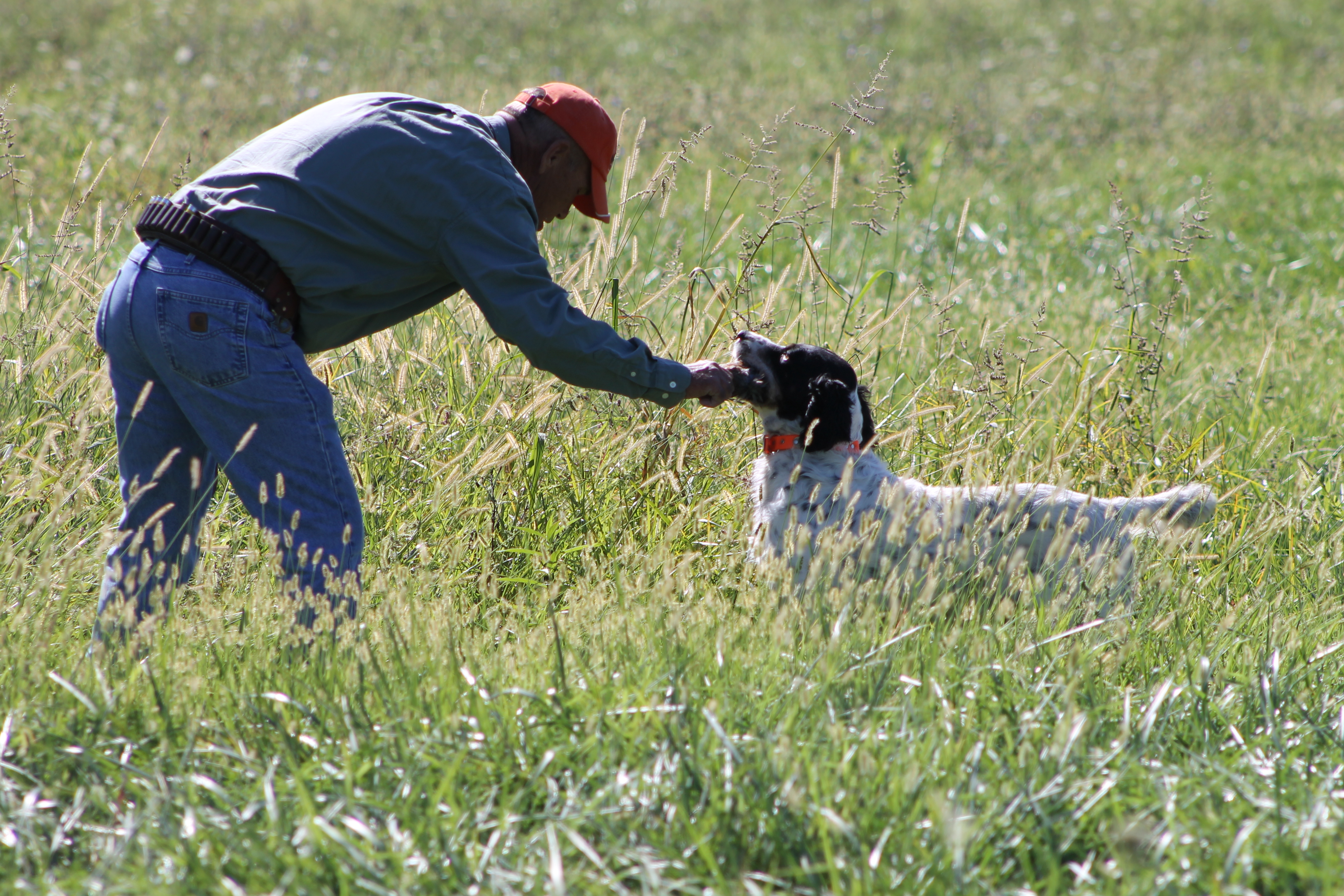 TRIAL INFO | OhioNSTRA | Field Trials
